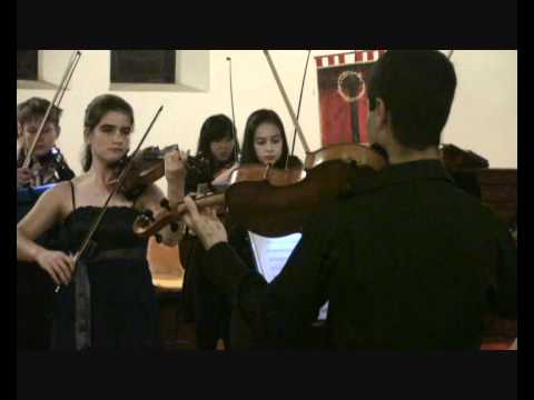 Vivaldi Scan 3.0 - Download e Fonte | Tecnologia - Cultura Mix